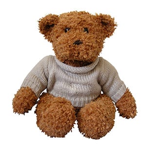 How To Make Teddies - School Bears