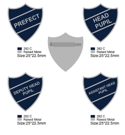 Custom School Pin Badge | School Memento